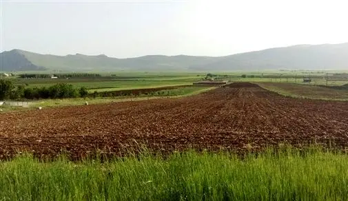 رفع تداخل از 175 هزار هکتار اراضی کشاورزی استان کردستان خبرگزاری ایلنا