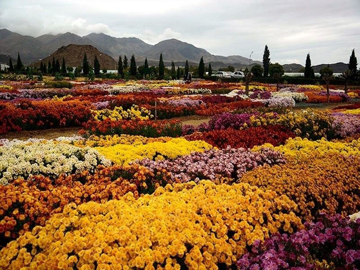 3 چالش پیش روی پژوهشکده ملی گل و گیاهان زینتی محلات